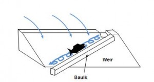 Fish Passage - Don Catchment Rivers Trust
