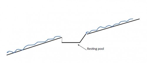 Fish Passage - Don Catchment Rivers Trust