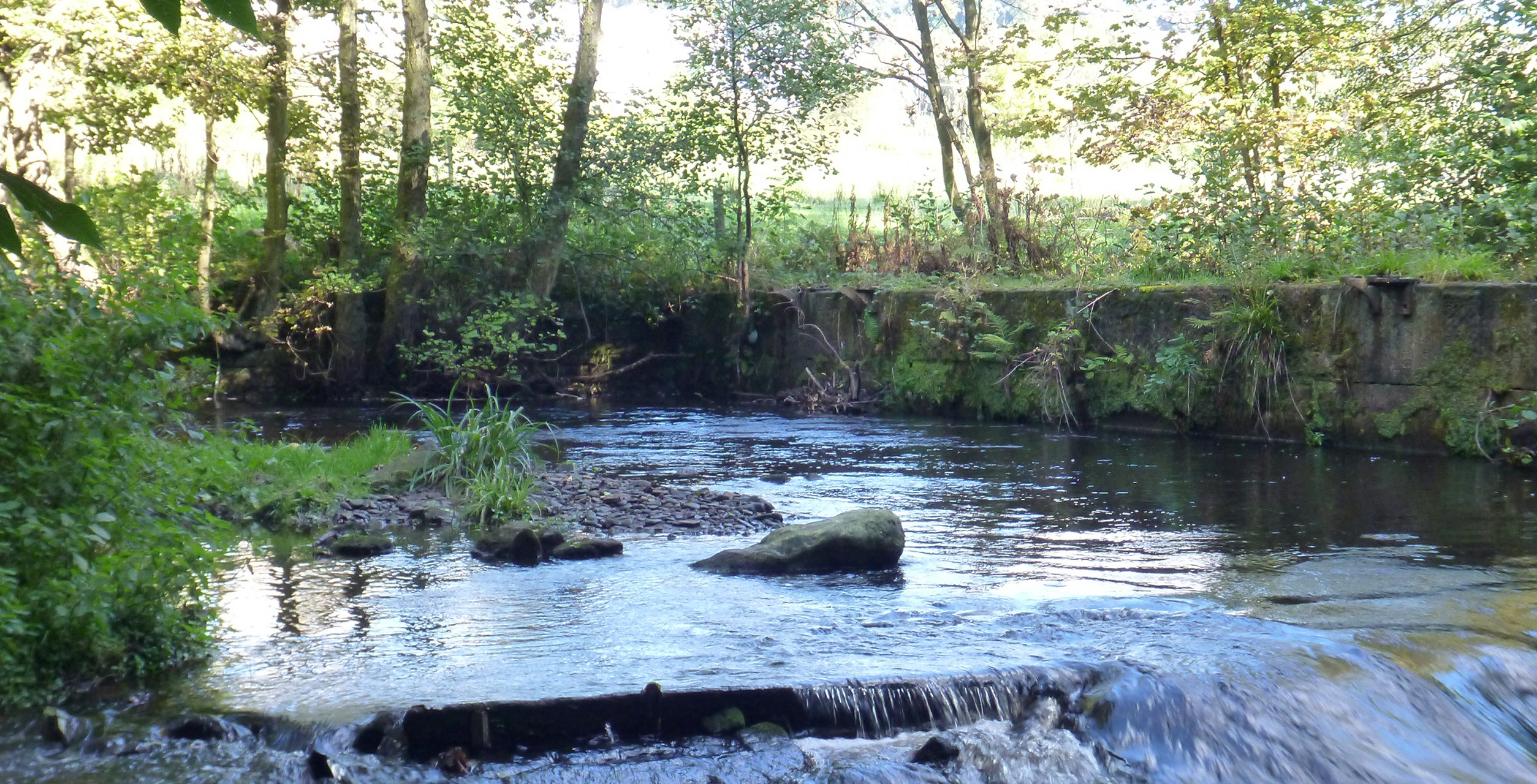 don-catchment-rivers-trust_loxley - Don Catchment Rivers Trust