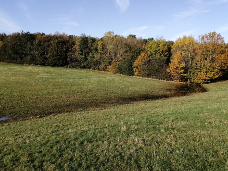 Slow the Flow to the Calow at Grassmoor Country Park - Don Catchment ...