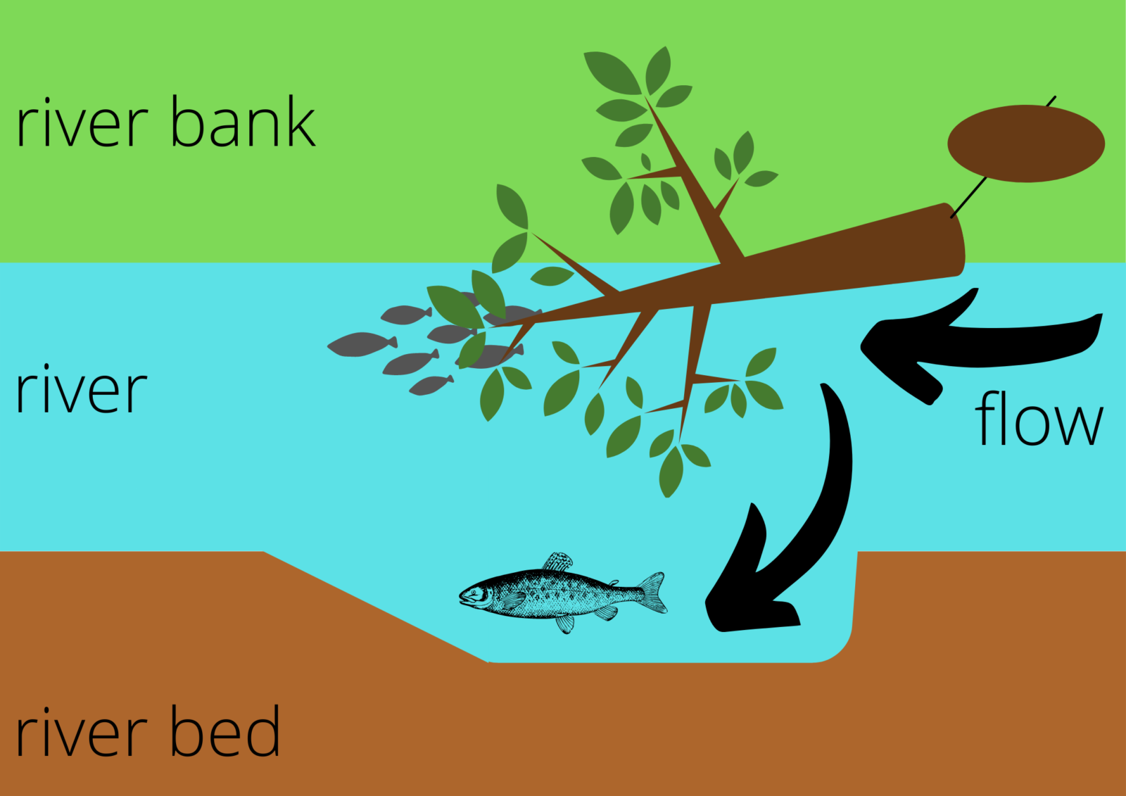 flow - Don Catchment Rivers Trust
