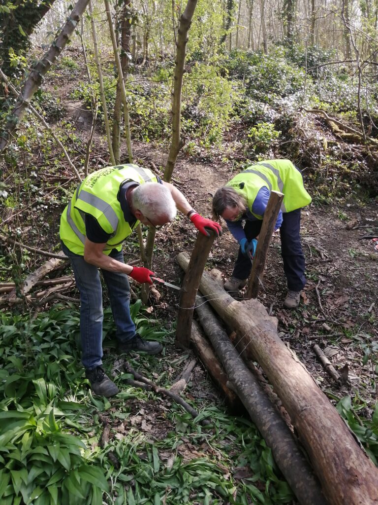 Holmebrook Valley Park NFM - Don Catchment Rivers Trust