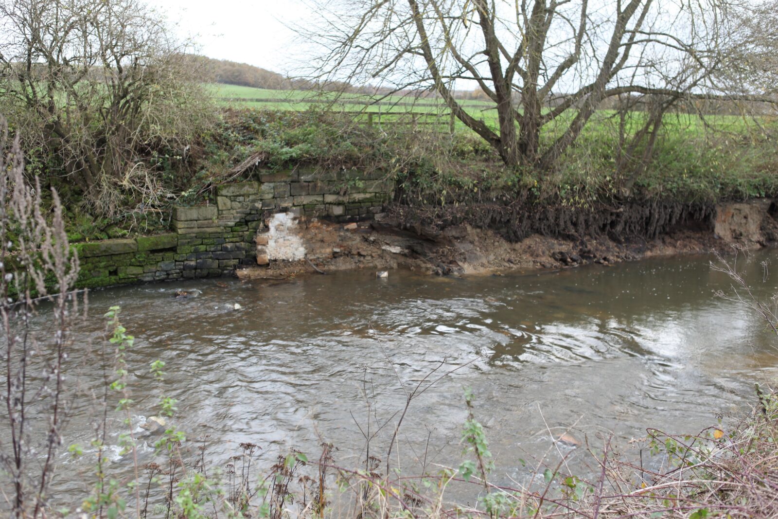 Slitting Mill Weir removal - Don Catchment Rivers Trust