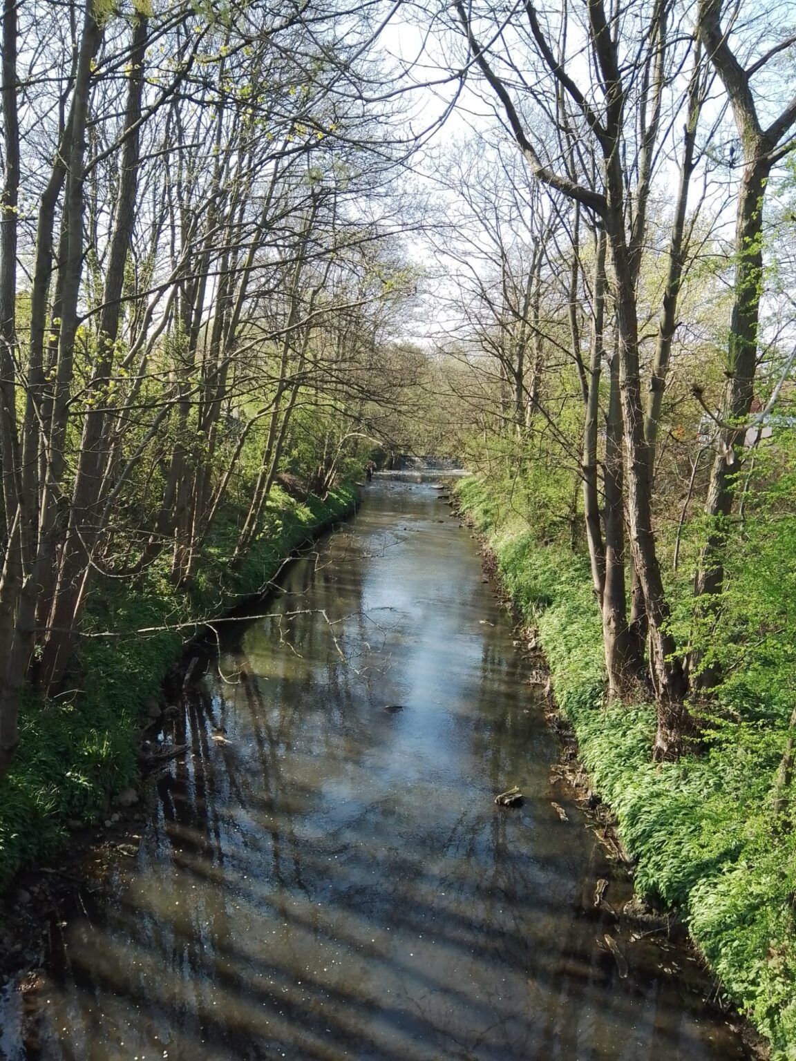 River rother - Don Catchment Rivers Trust