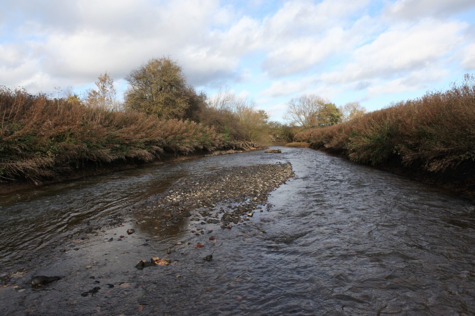 Slitting Mill Weir removal - Don Catchment Rivers Trust