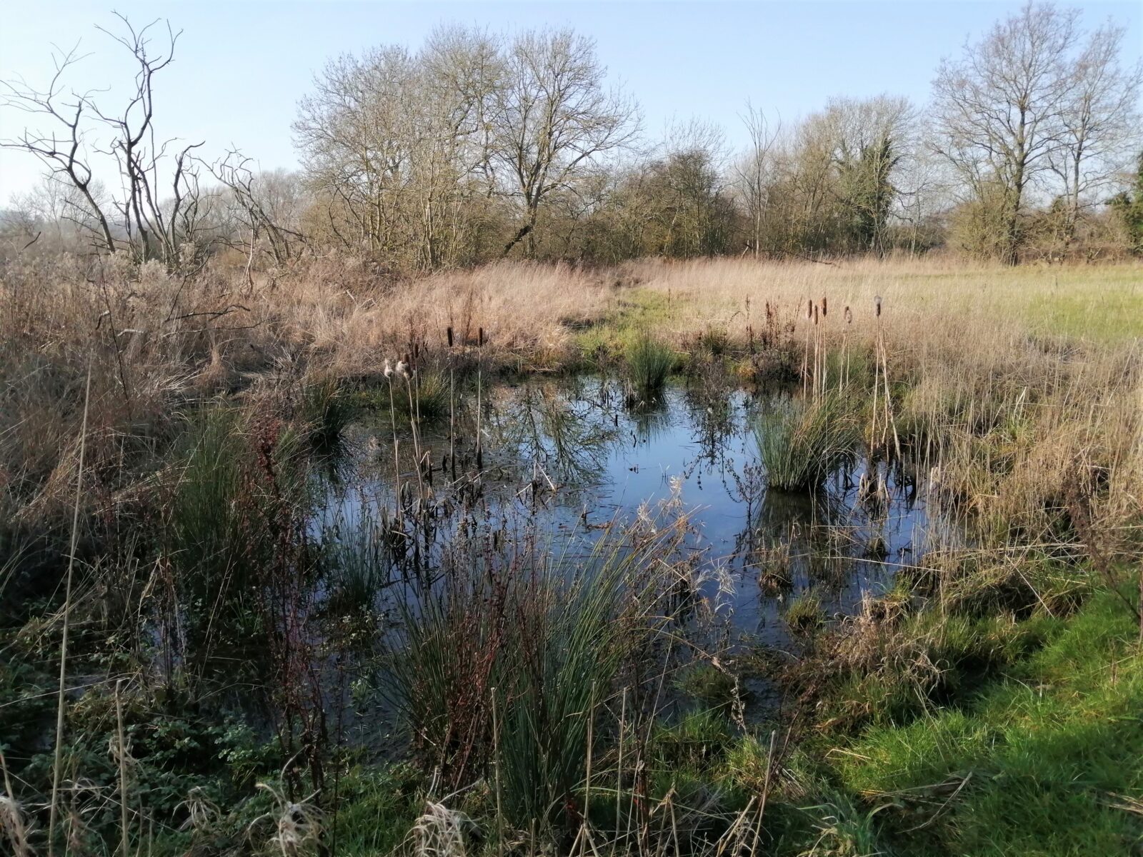 Natural Flood Management (NFM) - Don Catchment Rivers Trust