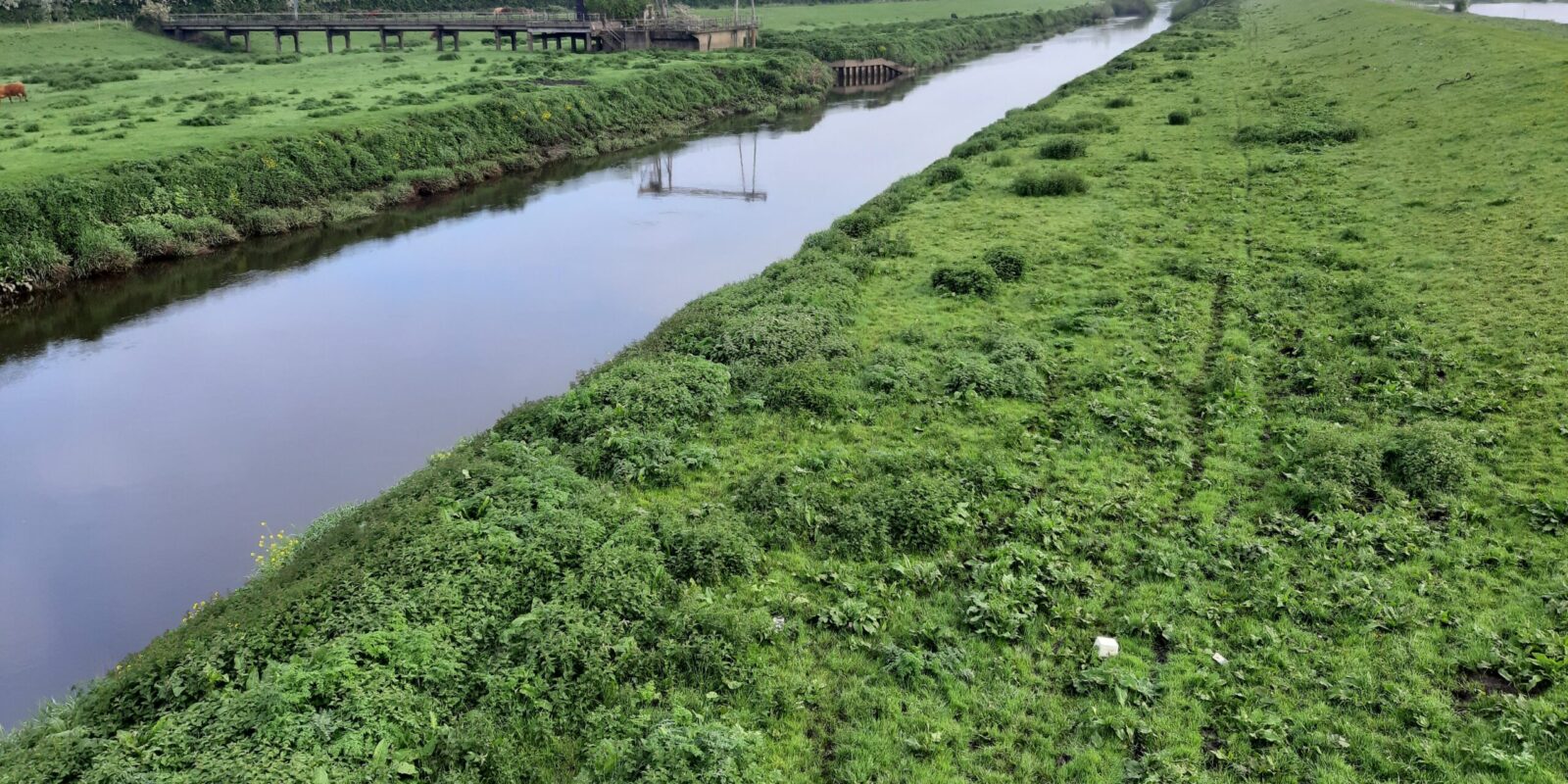 Heavily modified Lower River Don - Don Catchment Rivers Trust