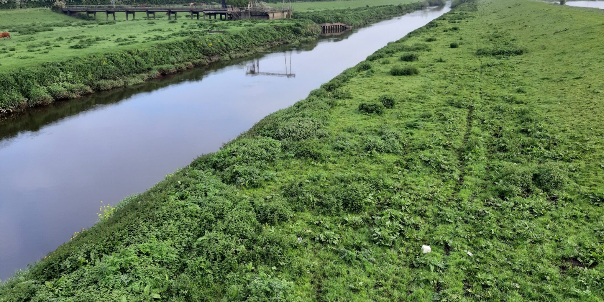 Heavily modified Lower River Don - Don Catchment Rivers Trust