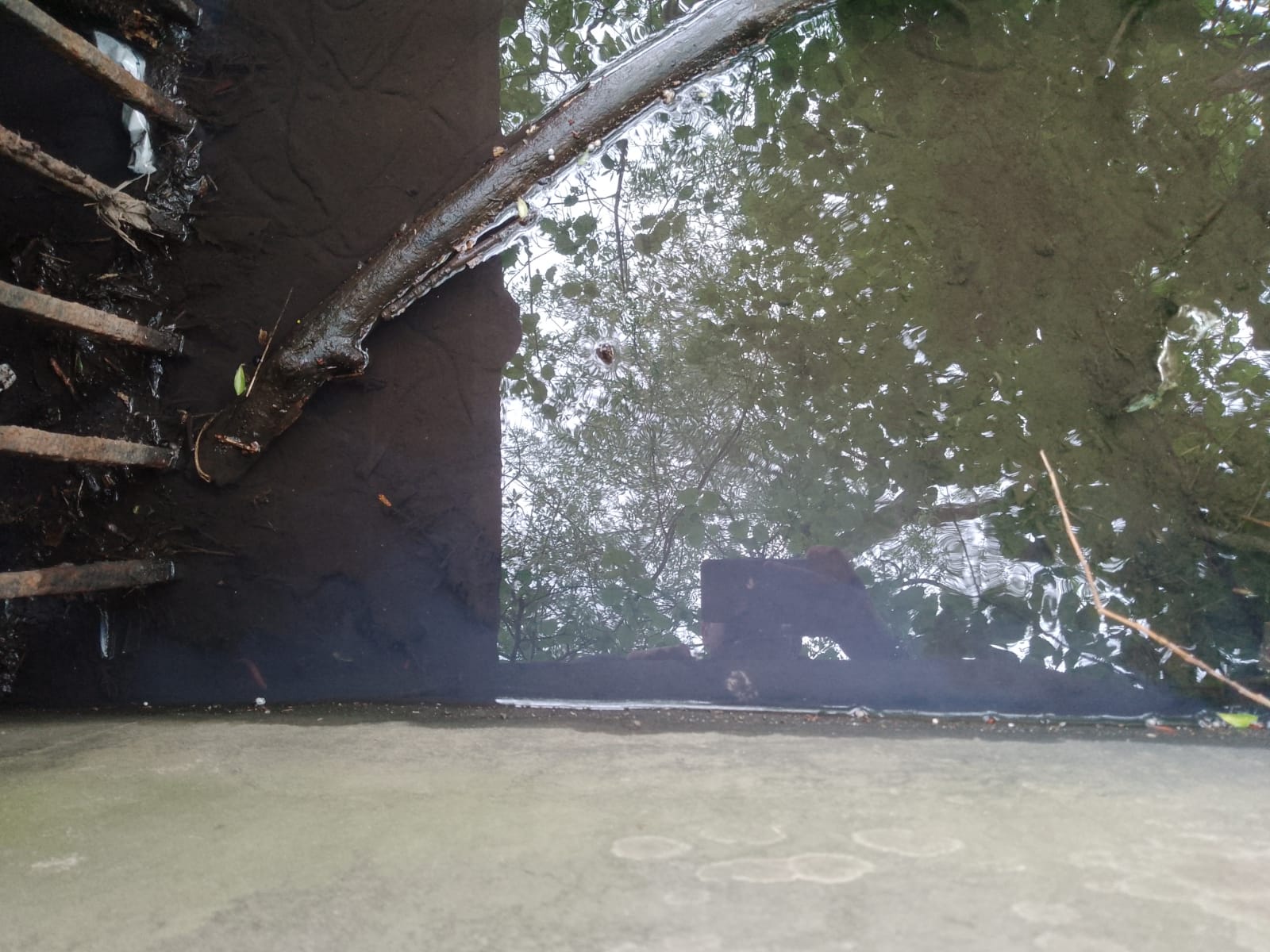Pollution in rivers - Don Catchment Rivers Trust